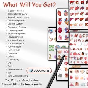 900+ Anatomy & Biology Stickers | Anatomy Stickers | Goodnotes Stickers ...