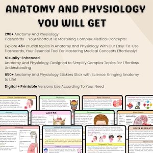 200+ Anatomy and Physiology Flashcards | Anatomy Study Guide | Nursing ...