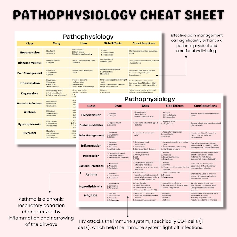 The Complete Pathophysiology Nursing Bundle | Nursing School Notes ...