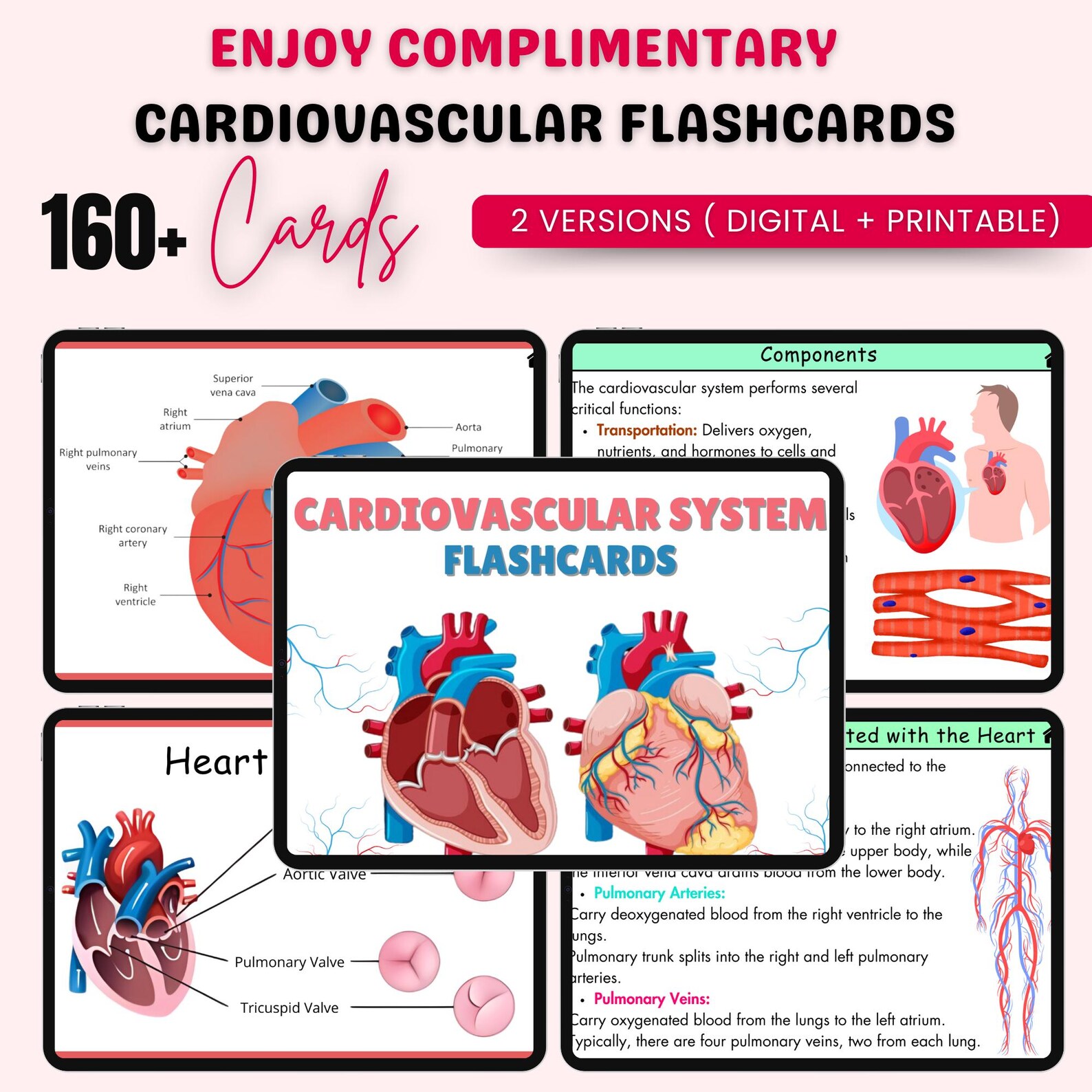Cardiac Bundle | Cardiac Nursing Notes | ECG Rhythm & Arrhythmias ...