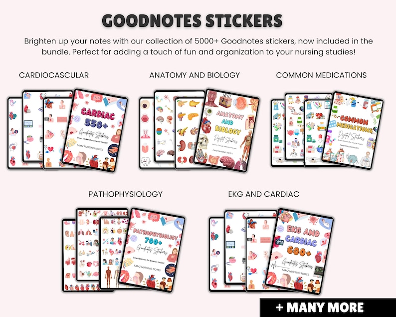 Nursing Flashcards Bundle, Anatomy, Pharmacology, Cardiovascular, OB ...
