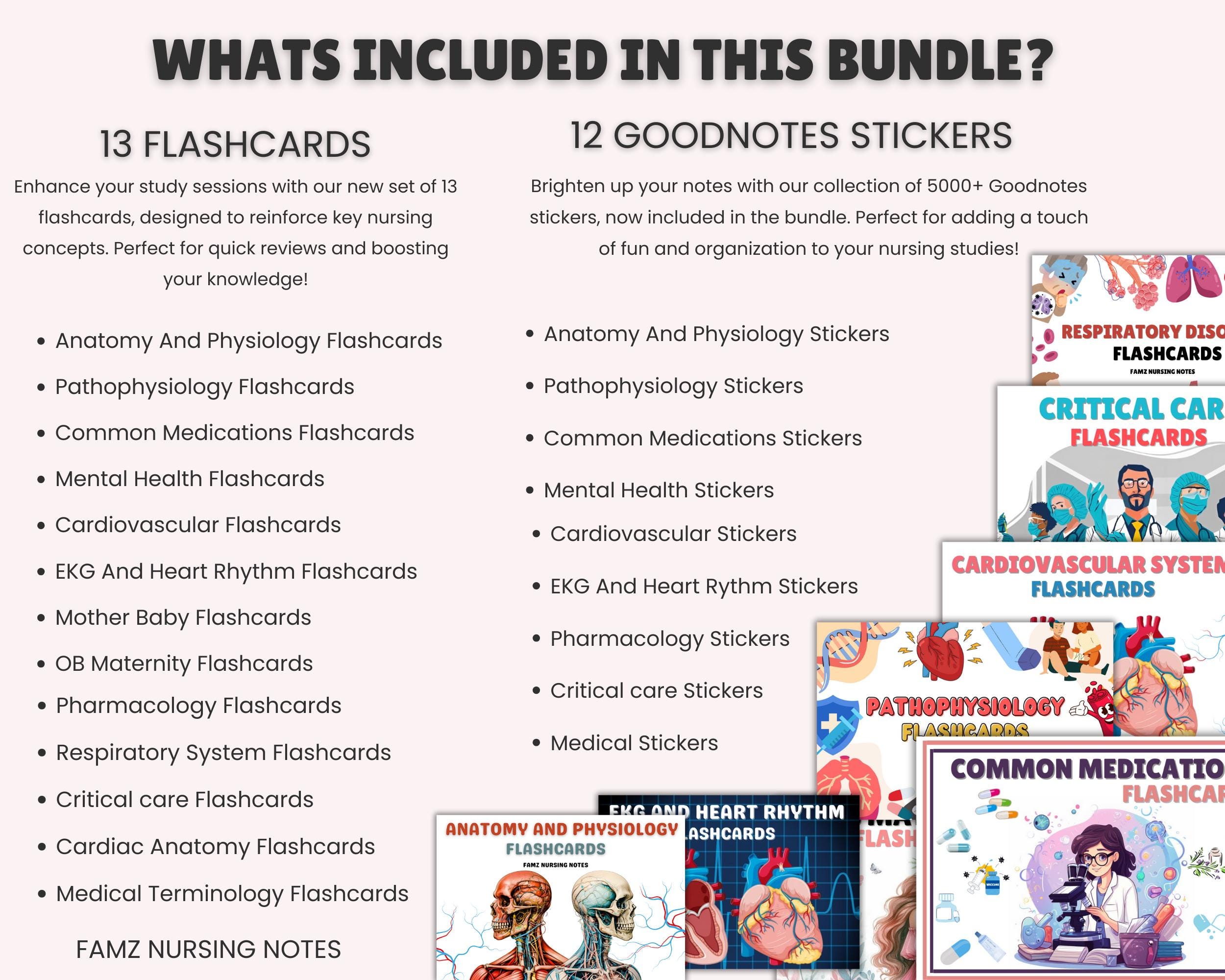 Nursing Flashcards Bundle, Anatomy, Pharmacology, Cardiovascular, OB ...