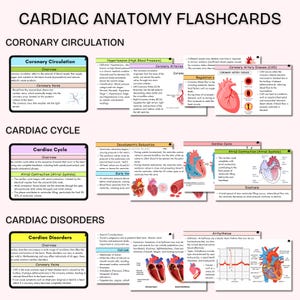 Cardiac Anatomy Flashcards | Nursing Notes | Digital + Printable - Etsy