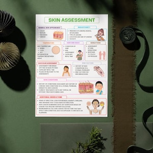 Health Assessment Nursing Bundle | Nurse Assessment | Nursing Notes ...