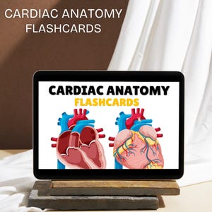 Cardiac Anatomy Flashcards | Nursing Notes | Digital + Printable - Etsy