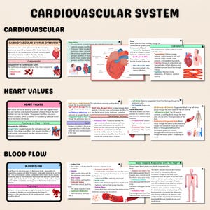 160+ Cardiovascular System Flashcards | Cardiac Nursing | Nursing Notes ...