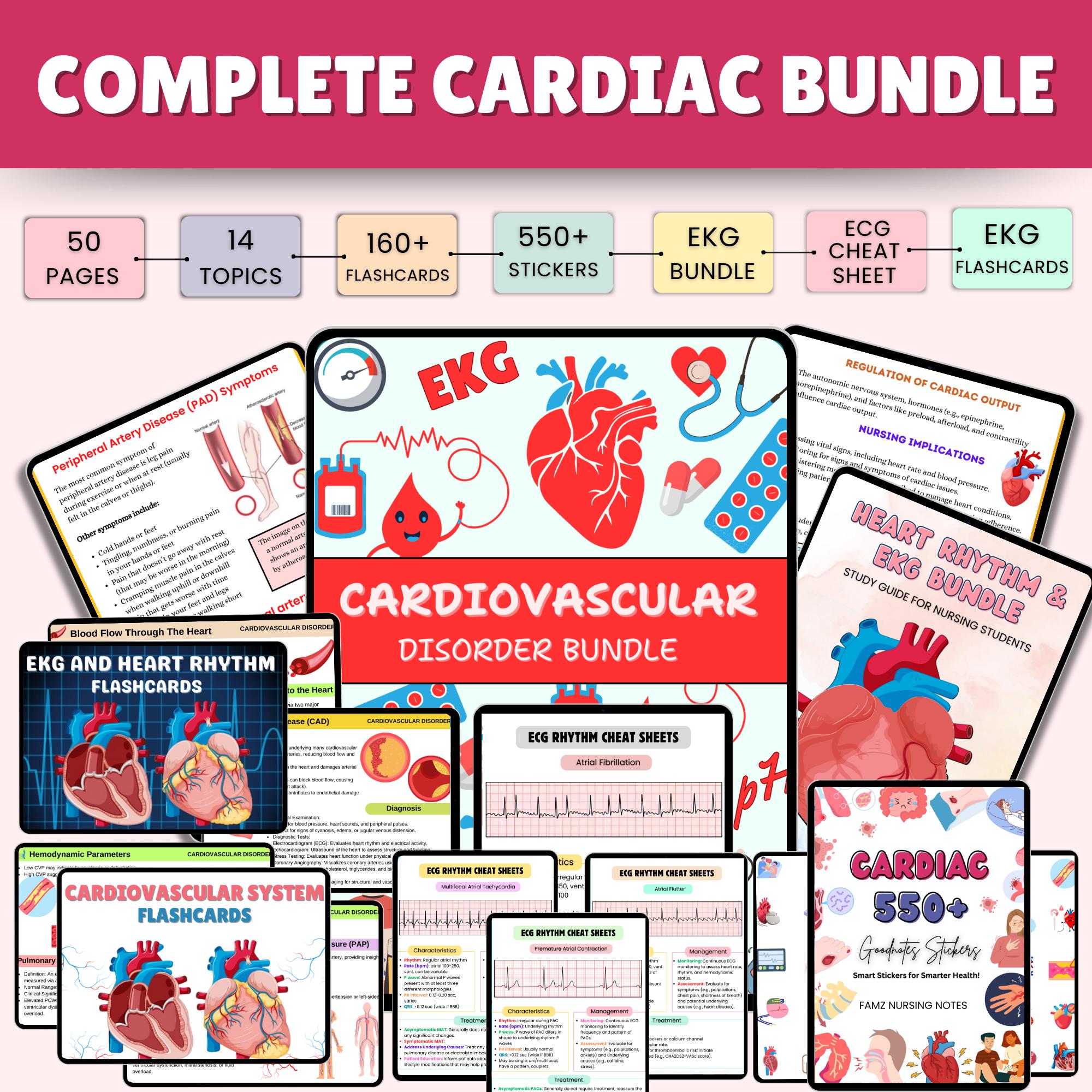 Cardiac Bundle | Cardiac Nursing Notes | ECG Rhythm & Arrhythmias ...