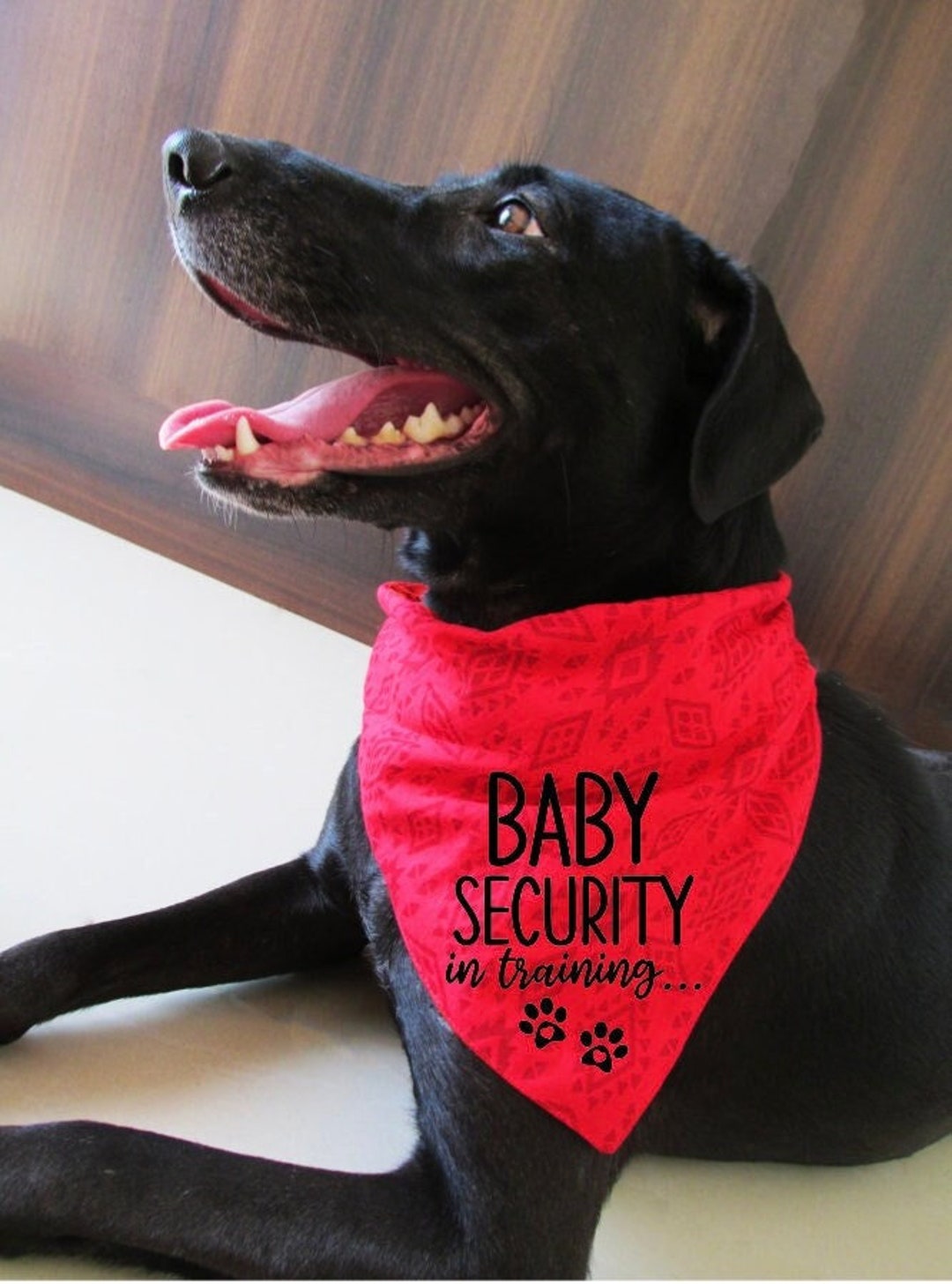Baby Security in Training Svg, Baby Guard Dog Bandana Svg, Funny Dog ...