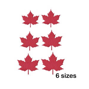 Maple Leaf Embroidery Design, Instant Download in 6 Sizes - Etsy