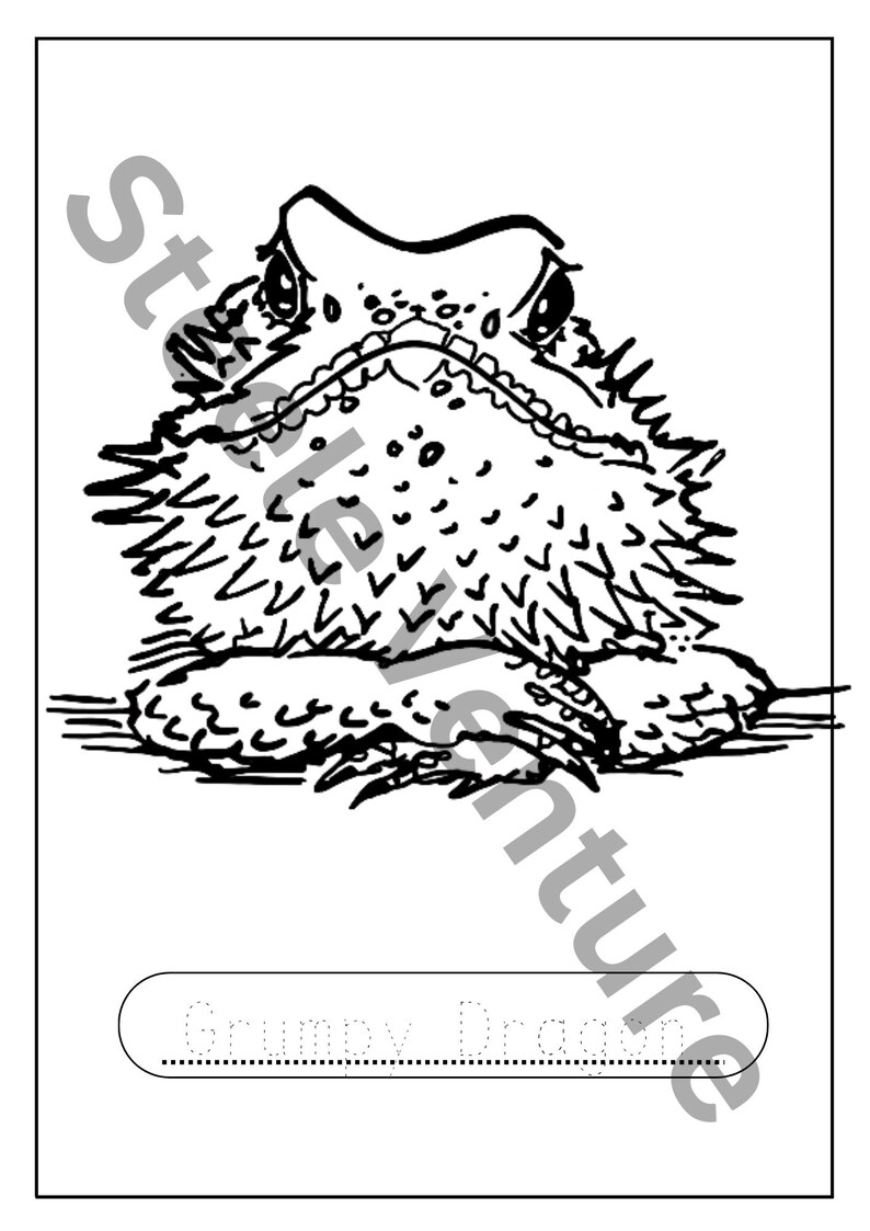 Bearded Dragon Kids Coloring & Tracing Printable Coloring Book - Etsy