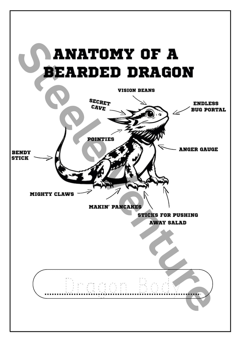 Bearded Dragon Kids Coloring & Tracing Printable Coloring Book - Etsy