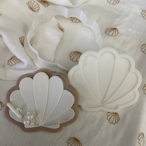 Sea Shell Cookie Cutter & Fondant Stamp, Debosser, Cookie Stamp, Shell ...
