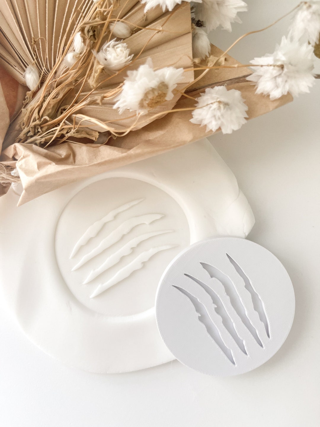 Dinosaur Slash Claw Print Cookie Stamp & Cutter, Scratch, Jurassic ...