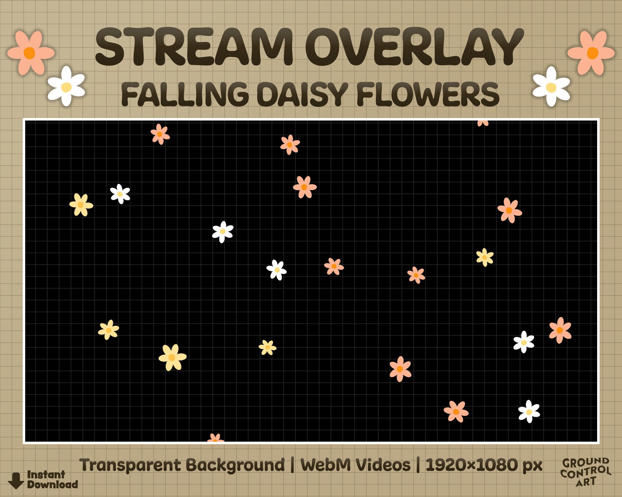 Falling Daisy Flowers Animated Stream Overlay | Transparent Animation ...