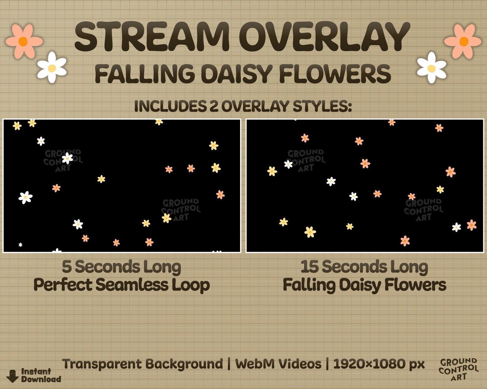 Falling Daisy Flowers Animated Stream Overlay | Transparent Animation ...