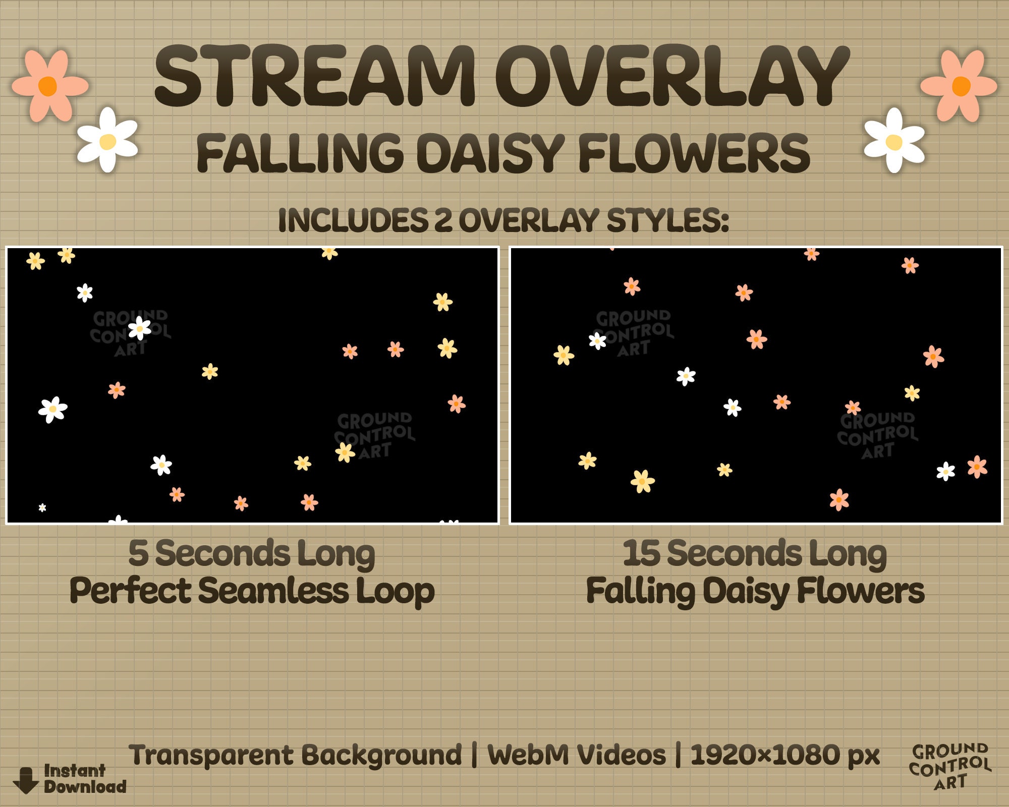 Falling Daisy Flowers Animated Stream Overlay | Transparent Animation ...
