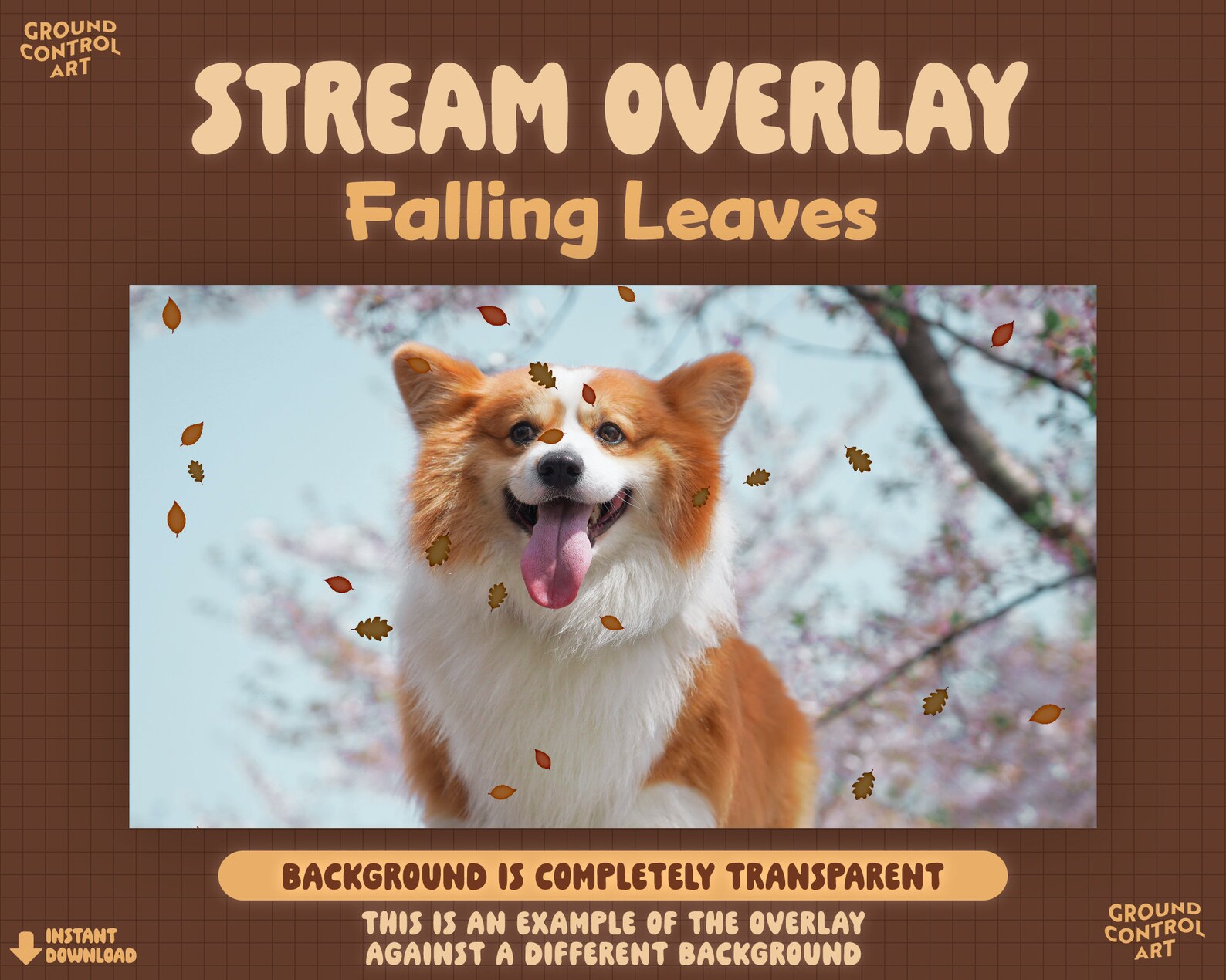 Falling Leaves Animated Overlay | Transparent Animation | Great for ...