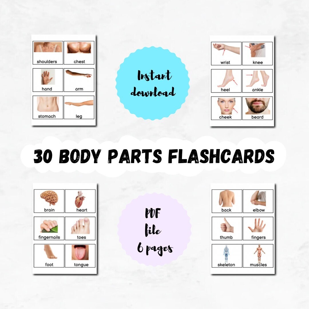 30 BODY PARTS Flashcards Montessori Real Pictures Speech Therapy ...