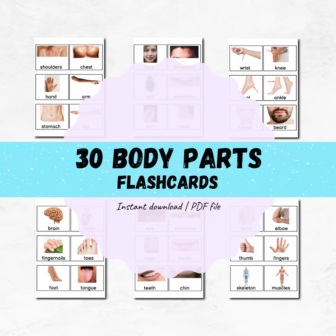 30 BODY PARTS Flashcards Montessori Real Pictures Speech Therapy ...