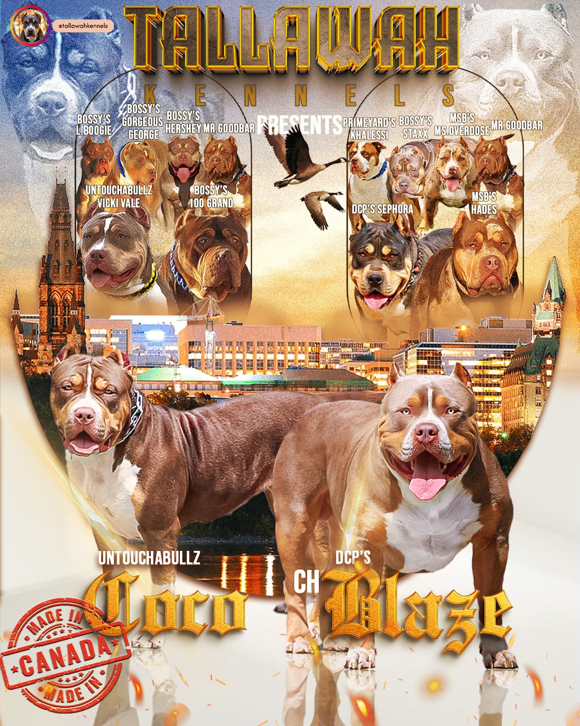 Custom Graphic Design for Breeders | Kennel Owners | Stud Dog | Litter ...