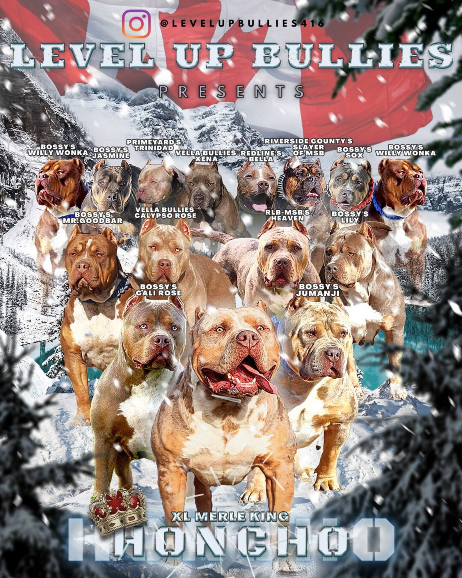 Custom Graphic Design for Breeders | Kennel Owners | Stud Dog | Litter ...