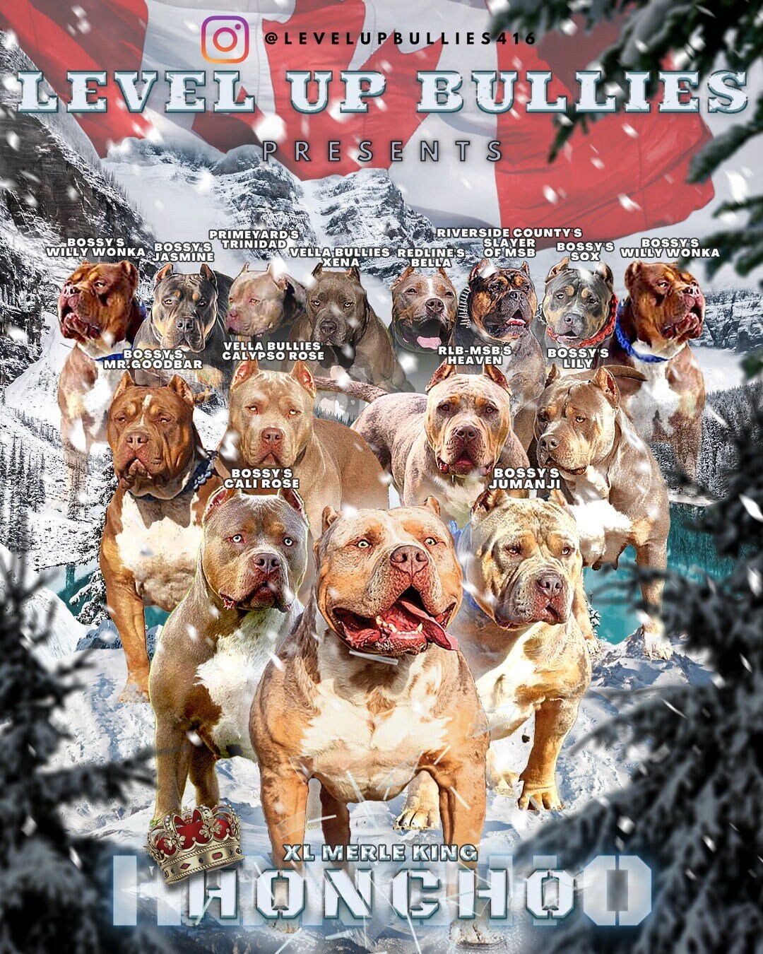 Custom Graphic Design for Breeders | Kennel Owners | Stud Dog | Litter ...