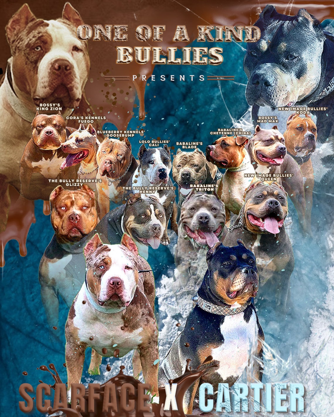 Custom Graphic Design for Breeders | Kennel Owners | Stud Dog | Litter ...