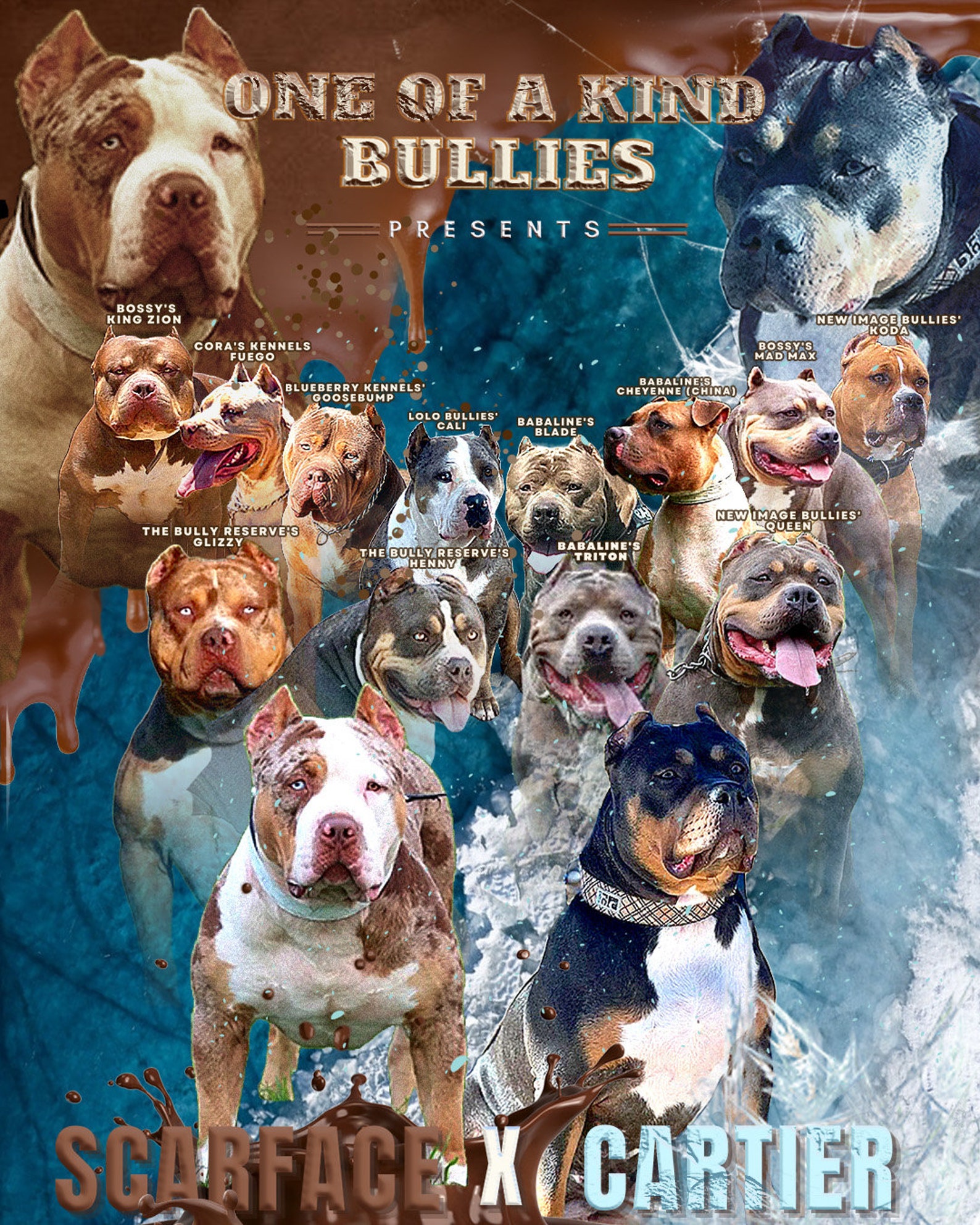 Custom Graphic Design for Breeders | Kennel Owners | Stud Dog | Litter ...