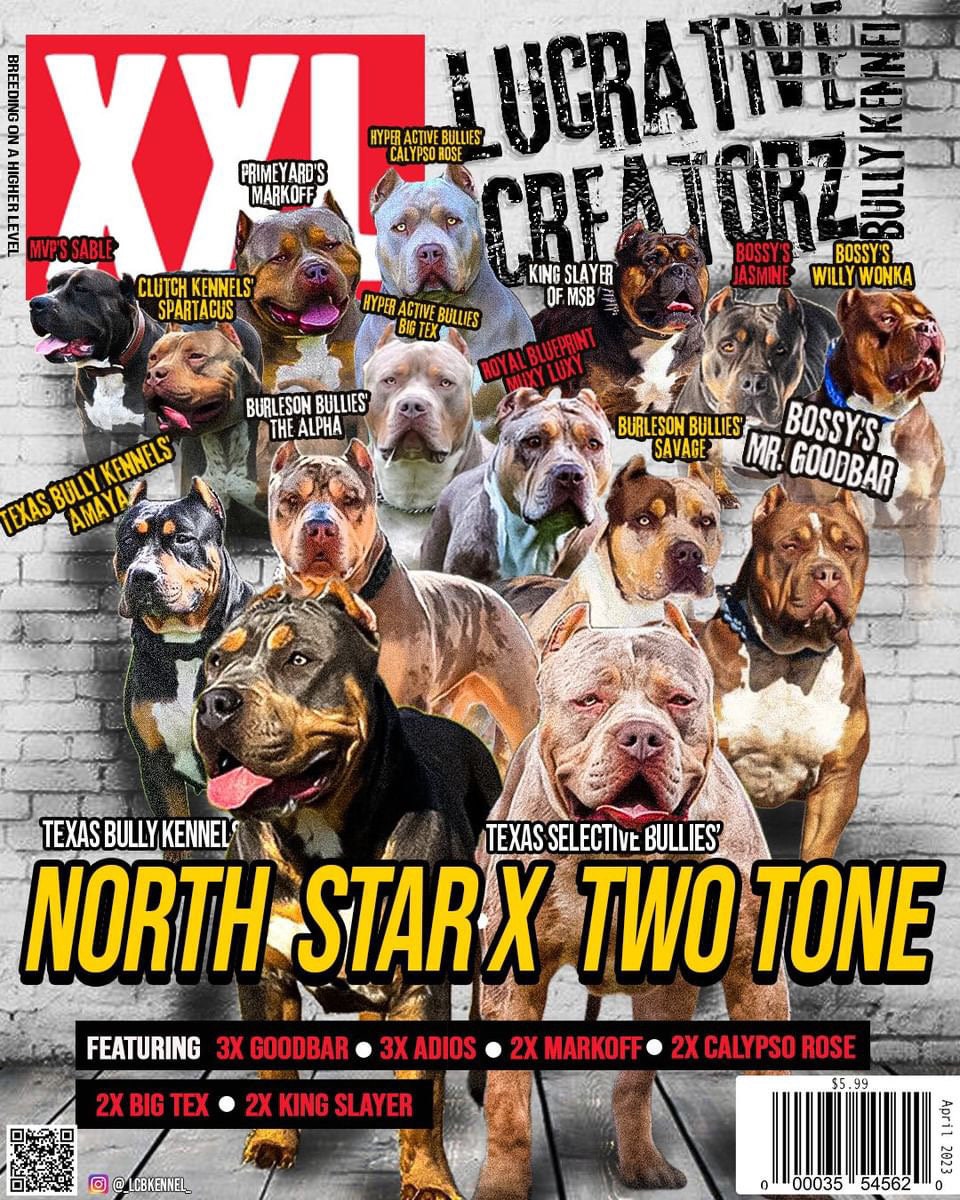 Custom Graphic Design for Breeders | Kennel Owners | Stud Dog | Litter ...