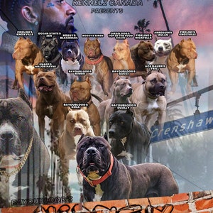 Custom Graphic Design for Breeders | Kennel Owners | Stud Dog | Litter ...