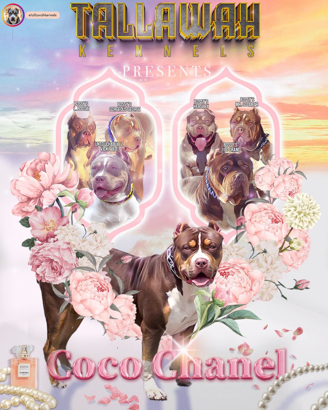 Custom Graphic Design for Breeders | Kennel Owners | Stud Dog | Litter ...