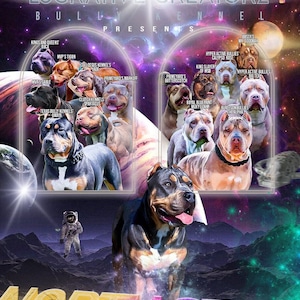 Custom Graphic Design for Breeders | Kennel Owners | Stud Dog | Litter ...