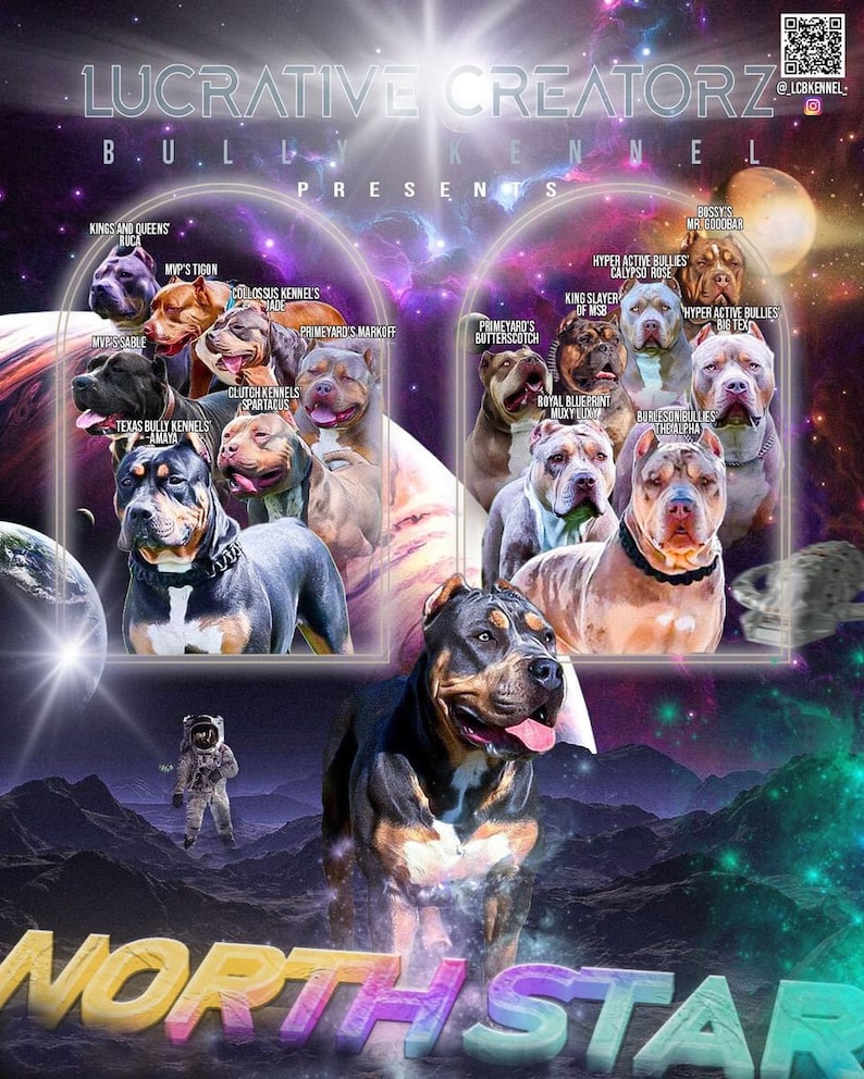 Custom Graphic Design for Breeders | Kennel Owners | Stud Dog | Litter ...