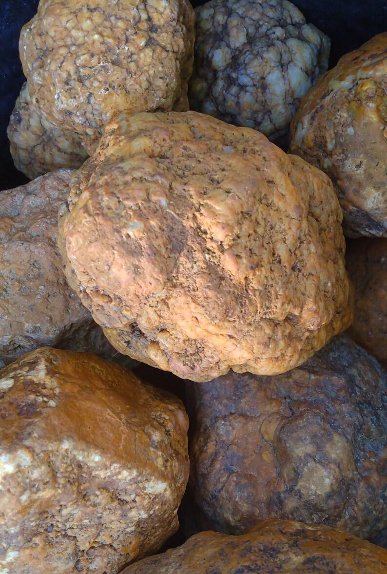 8lbs of Carthage TN Unopened Geodes/agates/nodules Lapidary - Etsy