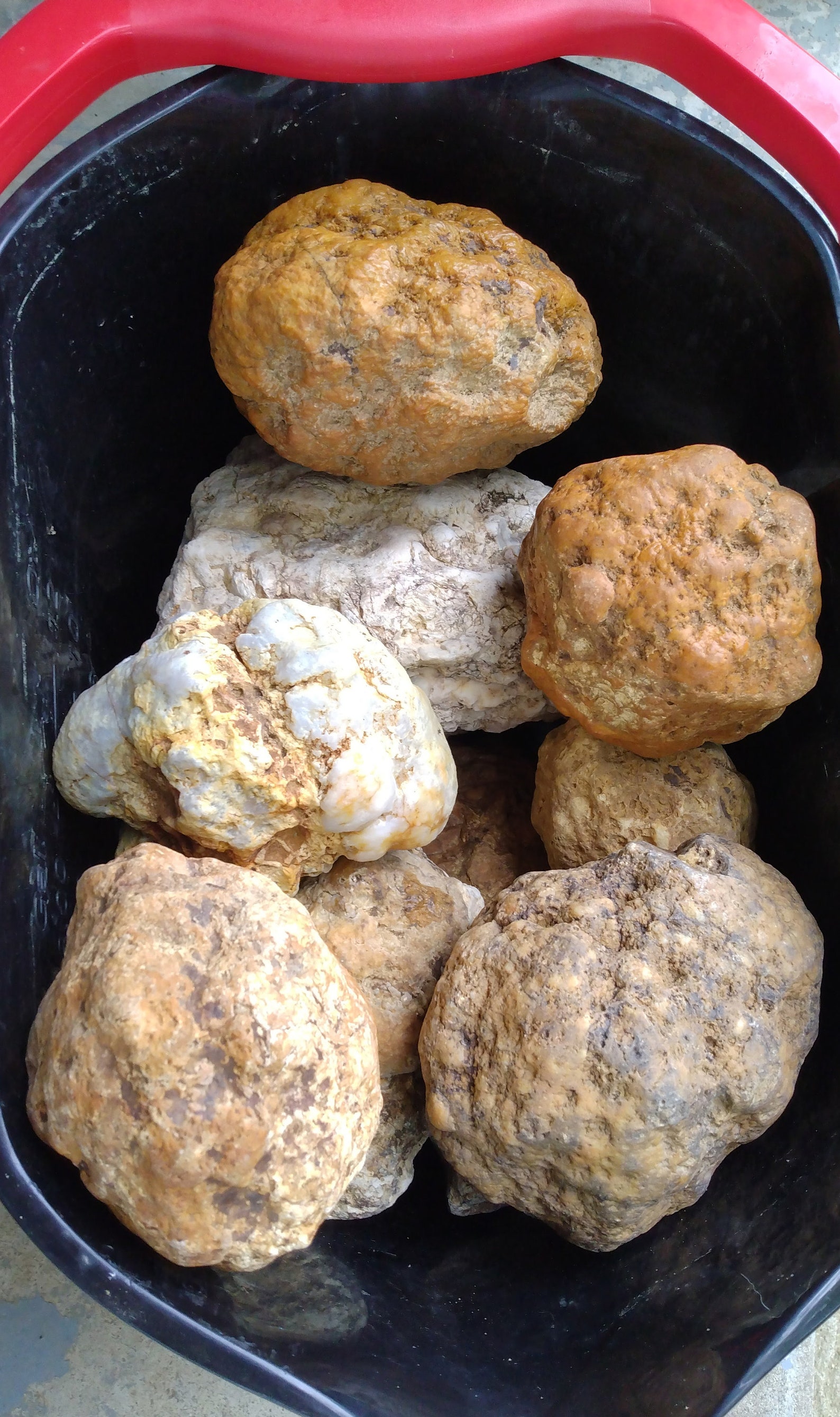 8lbs of Carthage TN Unopened Geodes/agates/nodules Lapidary Break or ...