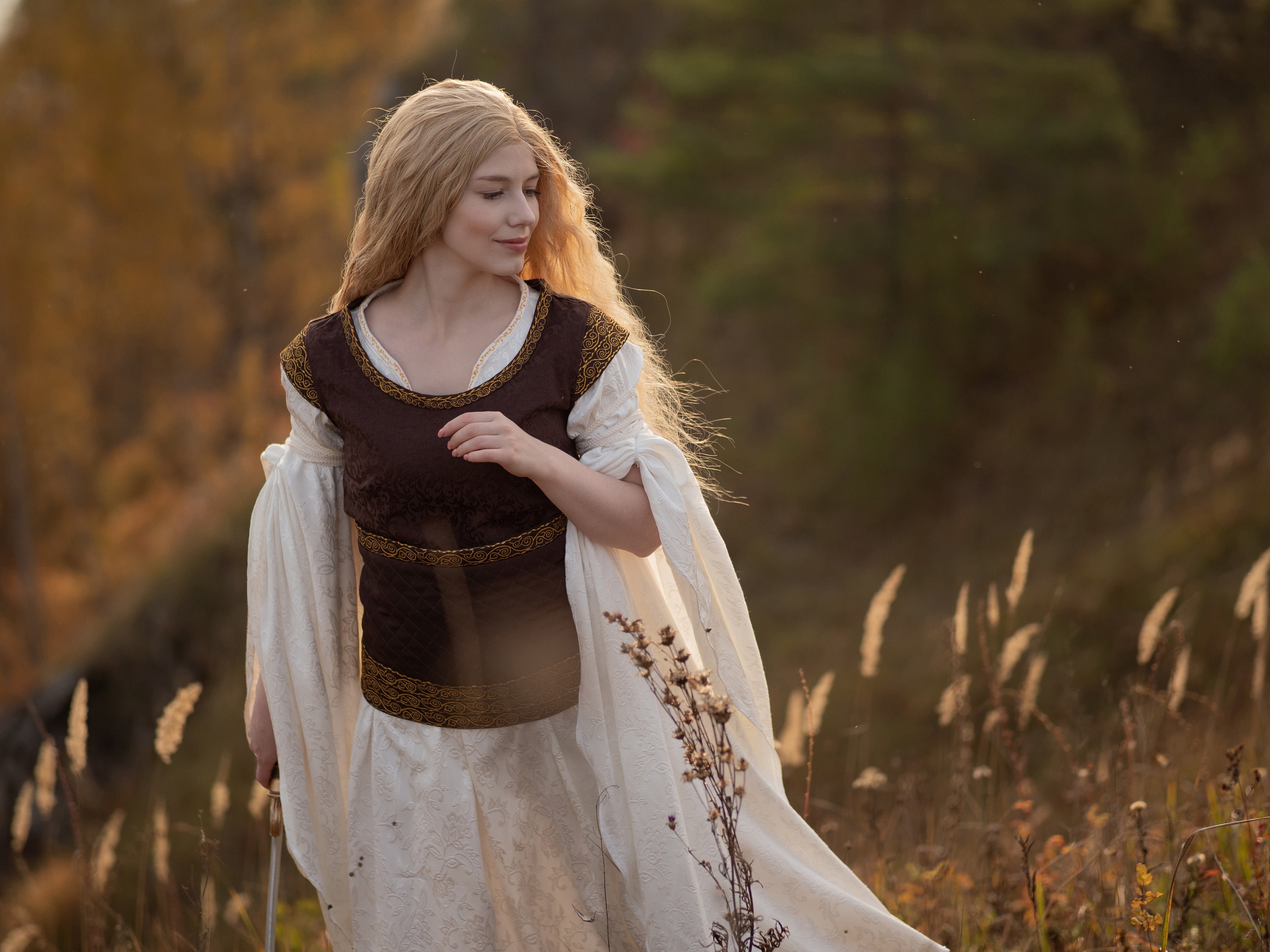 Eowyn Lord Of The Rings Dresses