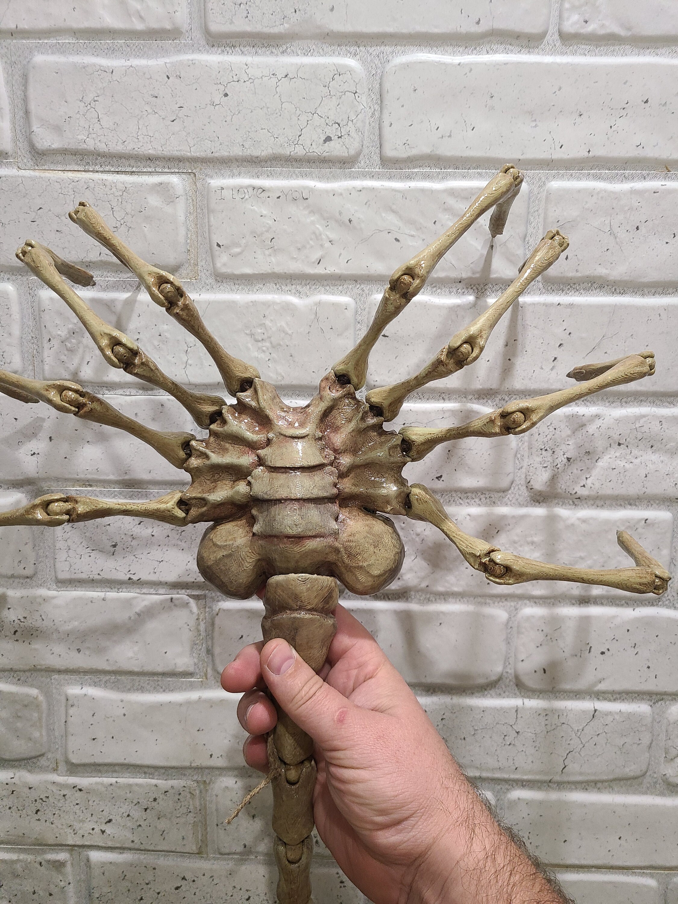 Facehugger Replica 1:1 Size Alien Face Hugger Replica - Etsy 日本