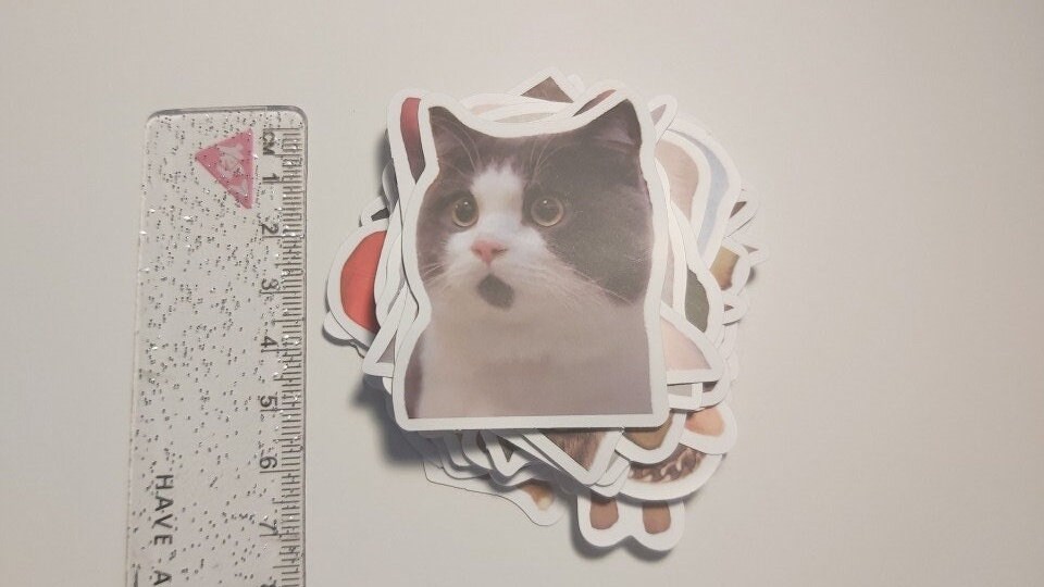 Hilarious Cat Memes Sticker Collection: 50 Premium Quality - Etsy