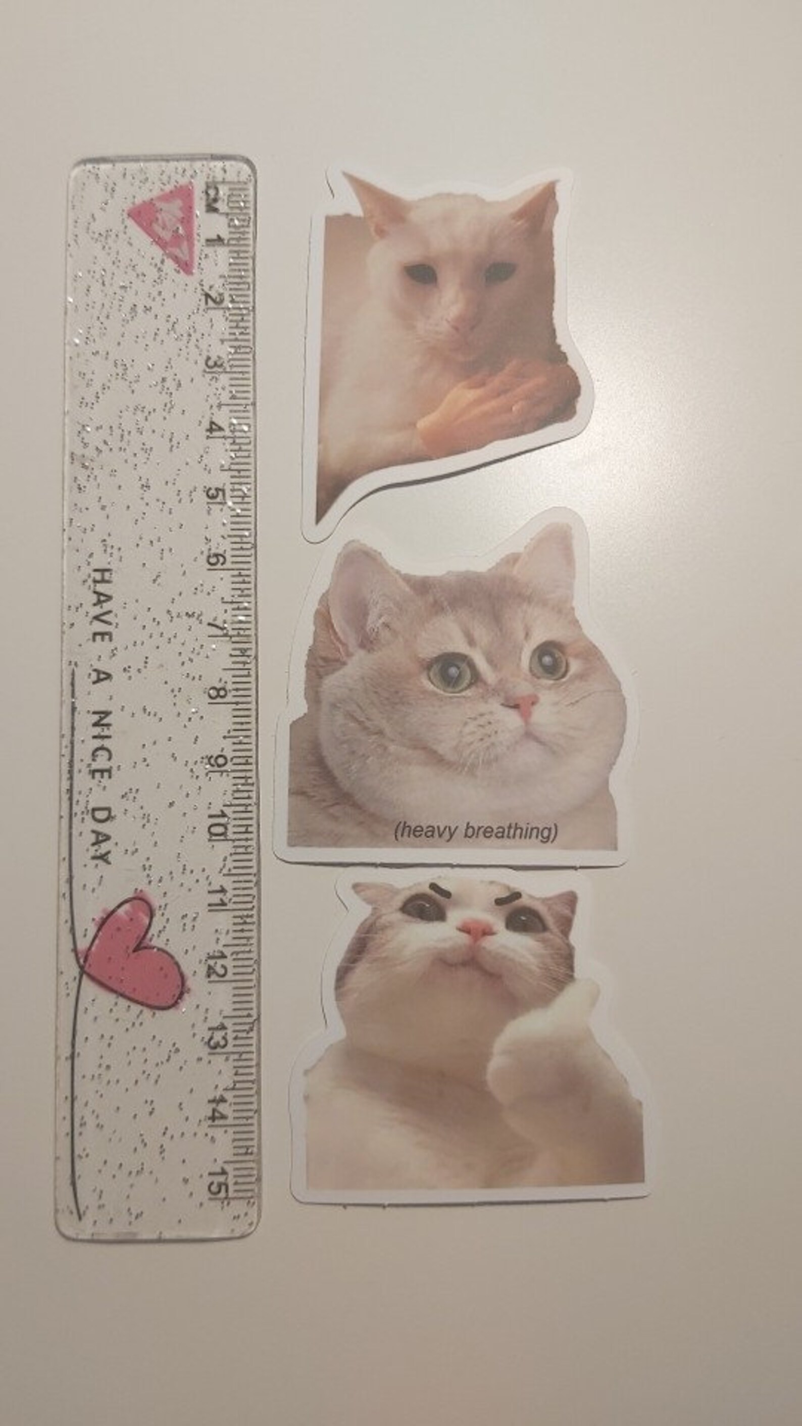 Hilarious Cat Memes Sticker Collection: 50 Premium Quality - Etsy