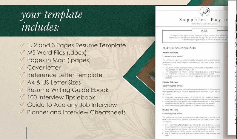 Professional Resume Template | Classy CV Template | CV Resume Template ...