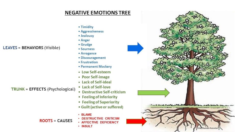 Identifying and Recognizing Negative Emotions, Emotions Healing ...