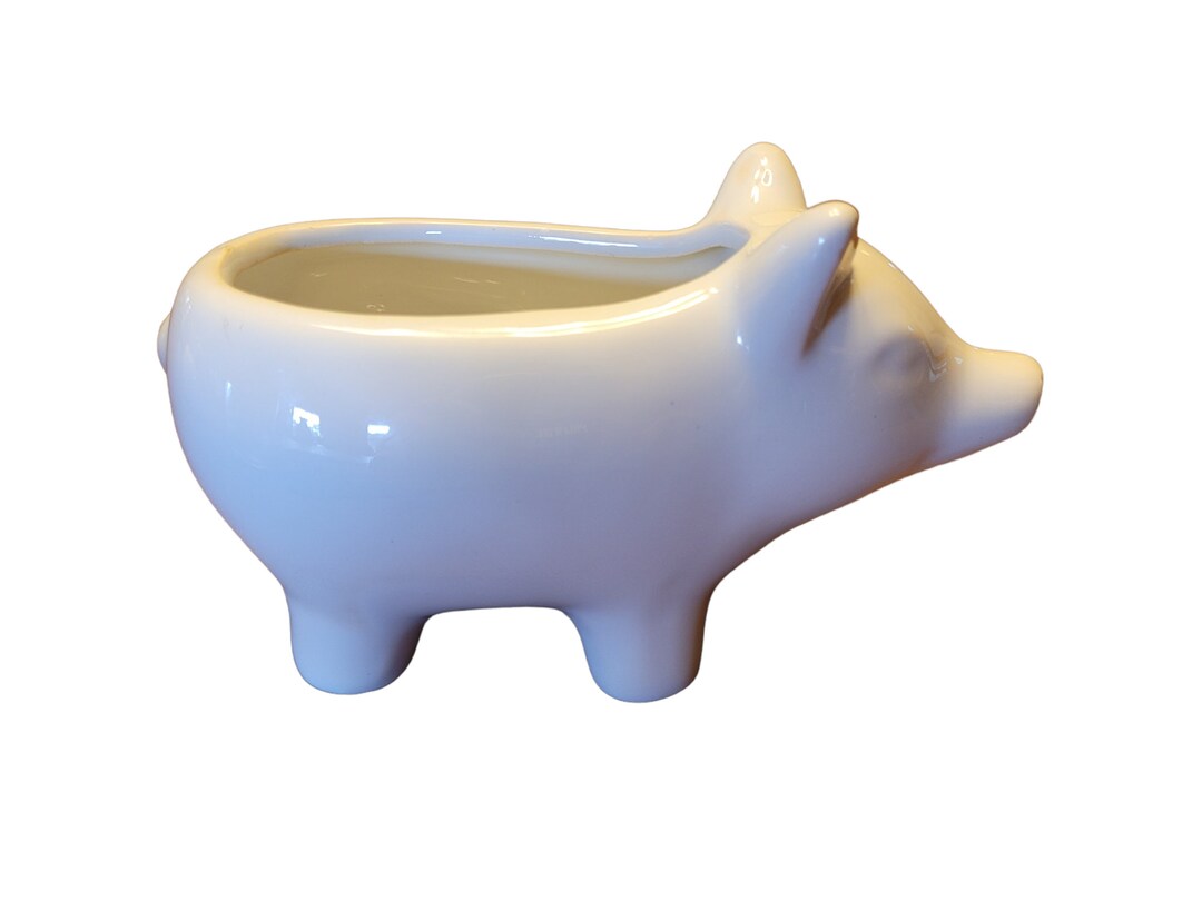 Cute White Pig 3.5" Planter - Etsy