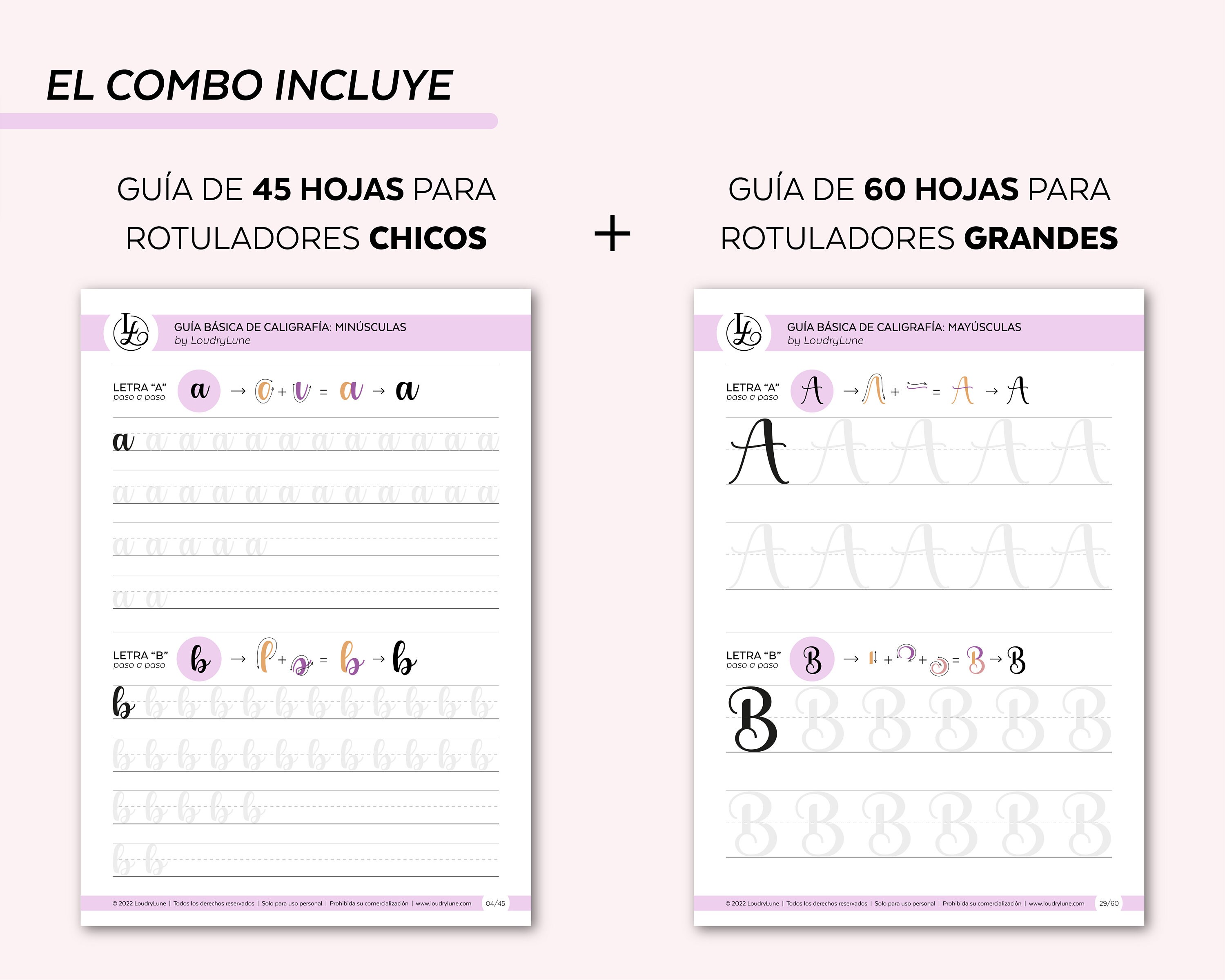 Combo Basic Calligraphy Guide for Small and Large Marker 105 Sheets ...