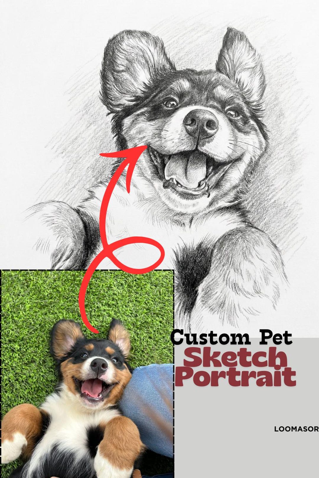 Custom Pet Portrait – Charcoal & Graphite Line Art (digital) - Etsy