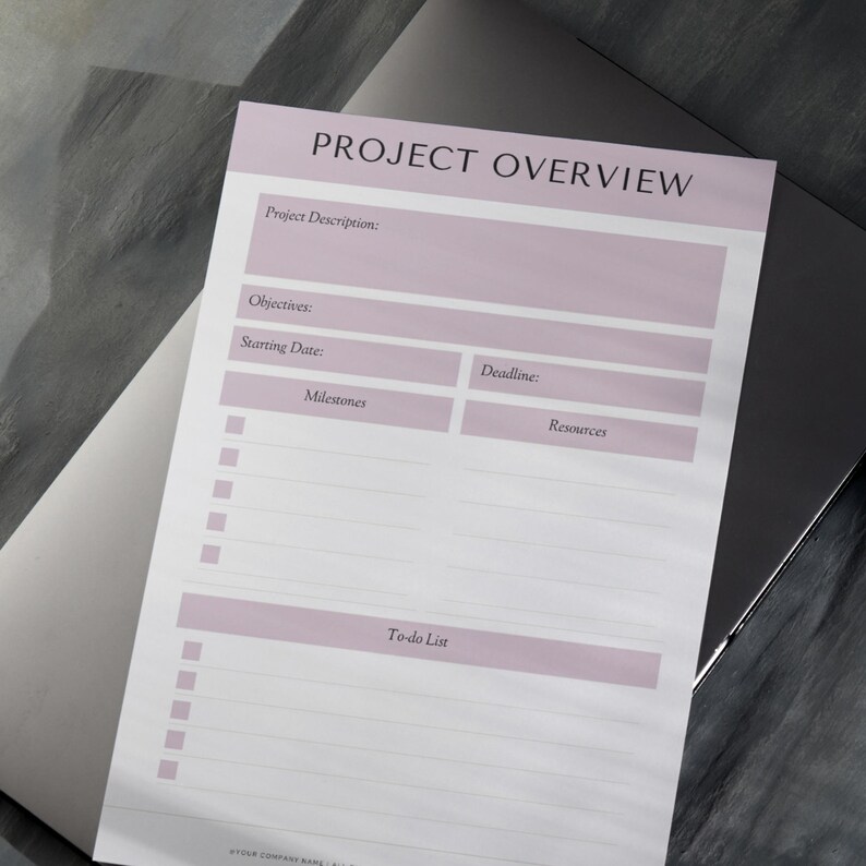 Project Breakdown Plan Overview Project Delivery Template - Etsy