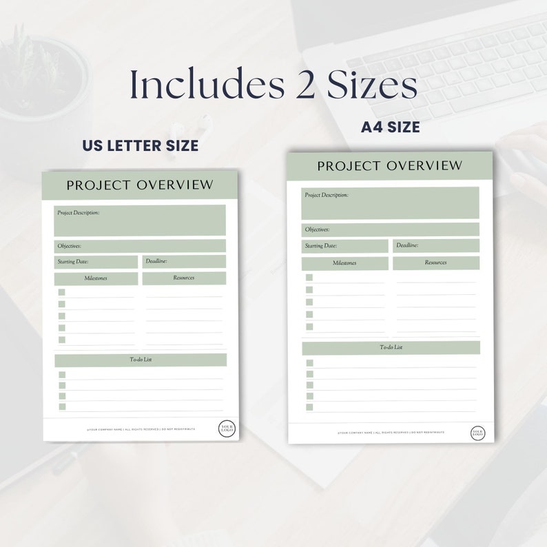 Project Breakdown Plan Overview Project Delivery Template - Etsy