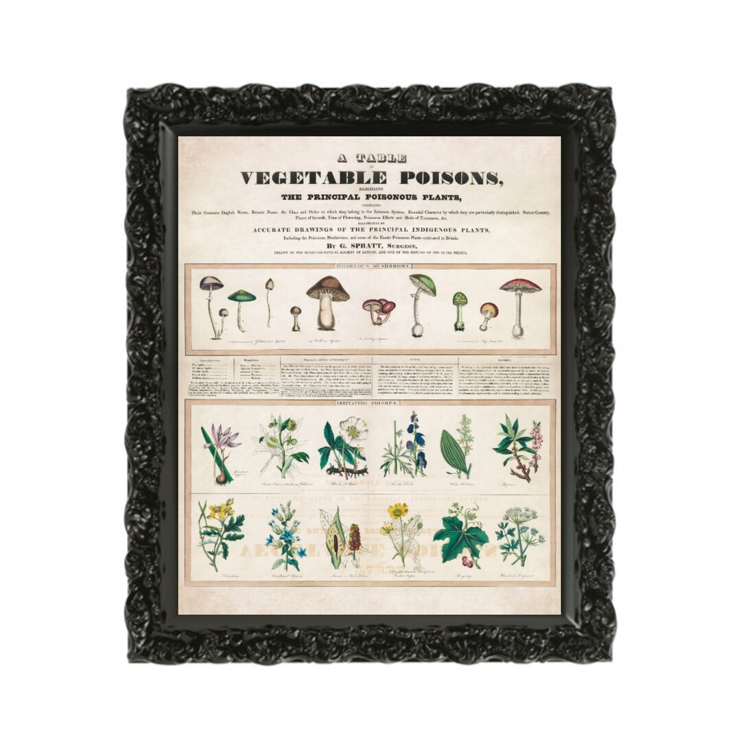 Gift for Plant Lovers, Printable Botanical Art Poster, Retro Garden ...