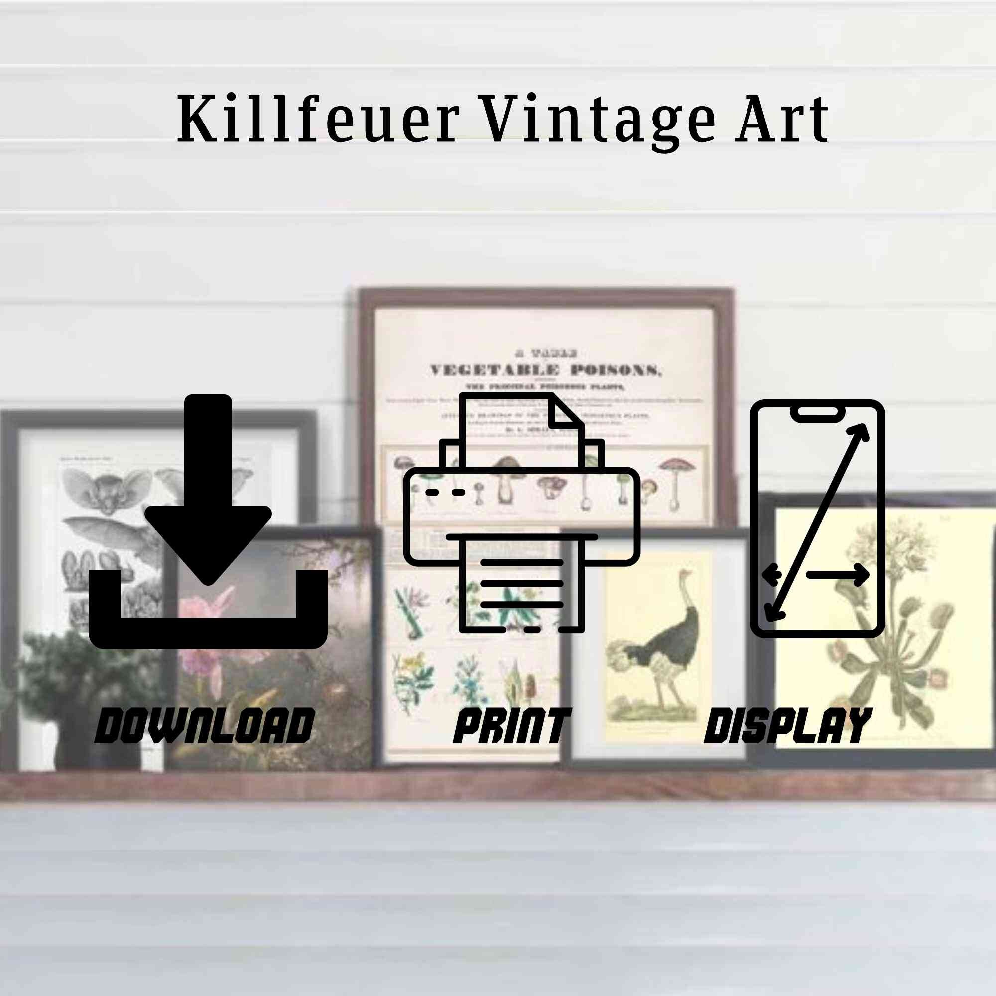 World Map Vintage School Map World Atlas Printable Art Map