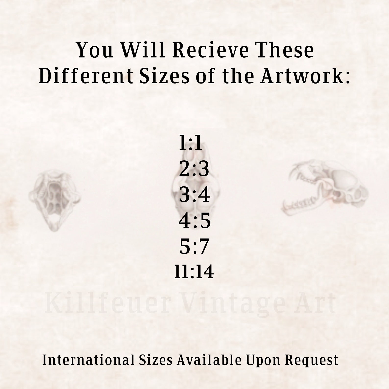 Gothic Wall Art Bundle 10 Digital Prints for Home Decor and Craft Dark ...