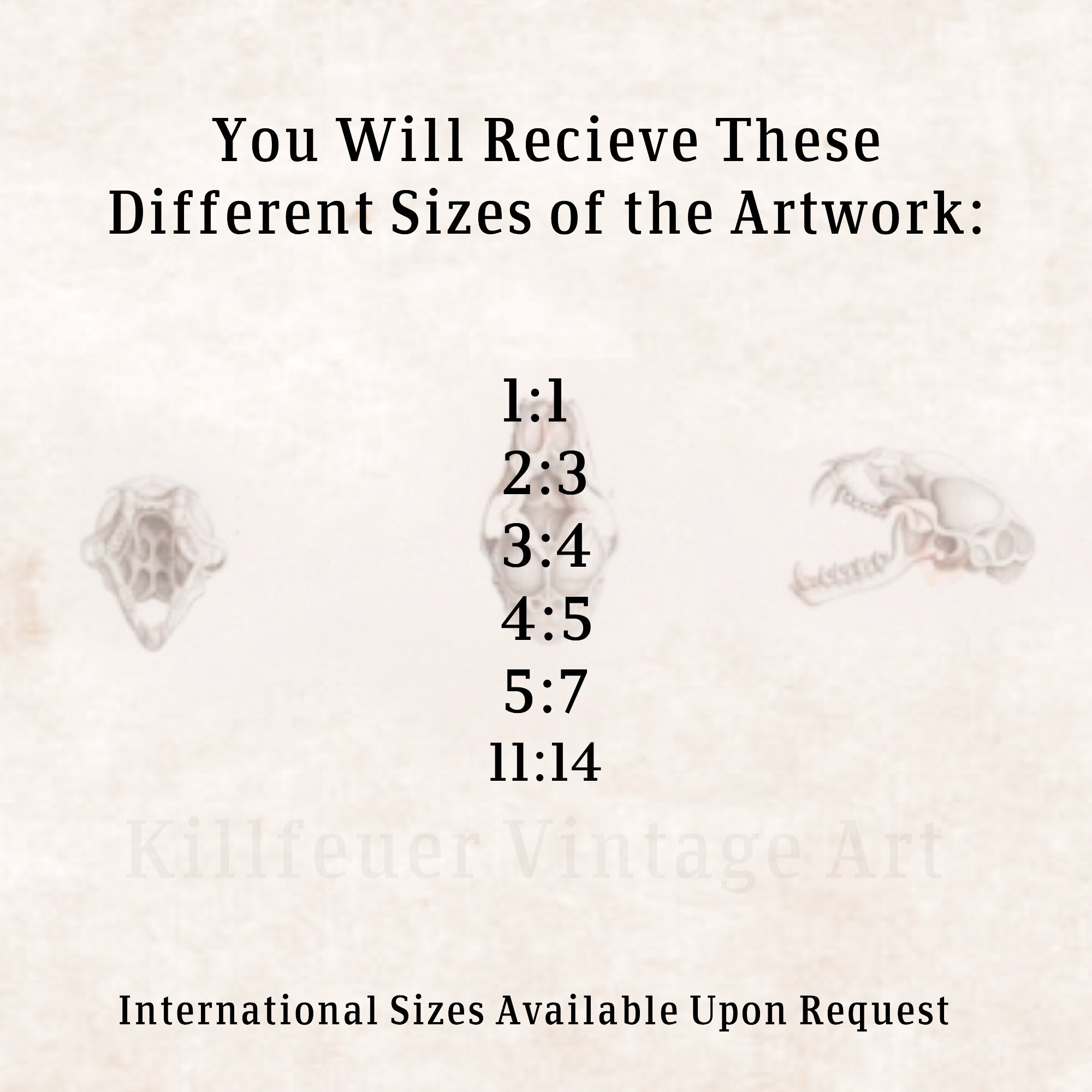 Gothic Wall Art Bundle - 10 Digital Prints for Home Decor and Craft ...